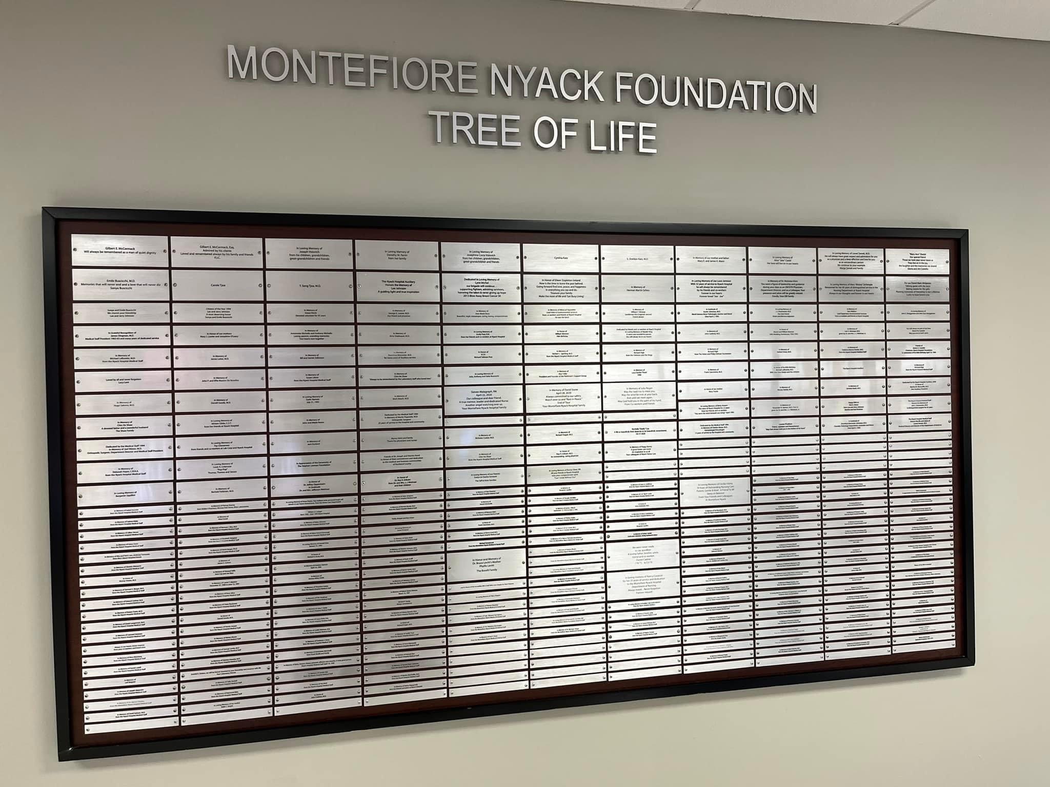 Philanthropy Corner: Tree of Life – Montefiore Nyack Foundation